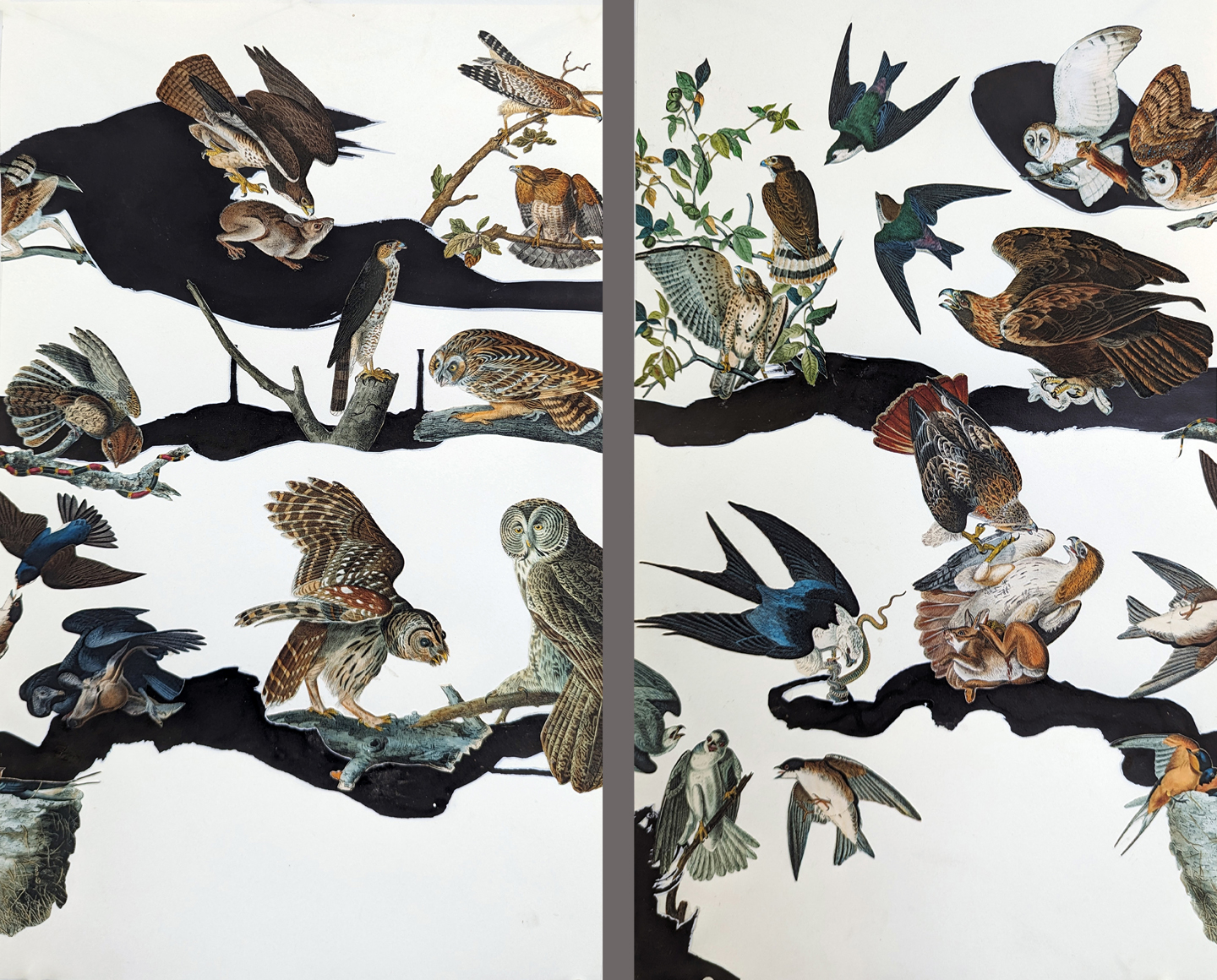 Infestations Series – miranda maher